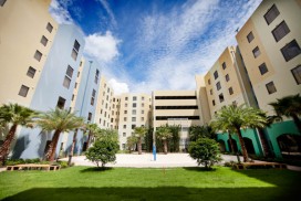 Pathway Programs Next Steps - UCF Global